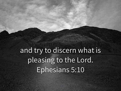Find Out What Is Pleasing to the Lord